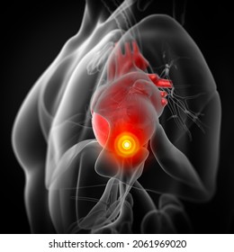 3d Rendering Human Heart Side View Stock Illustration 2061969020 ...