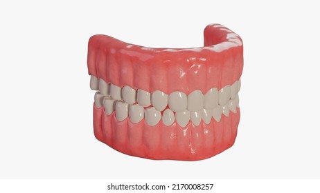 4,363 3d model of human jaw Images, Stock Photos & Vectors | Shutterstock