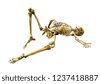 442,007 Human Skeleton Royalty-Free Images, Stock Photos & Pictures ...
