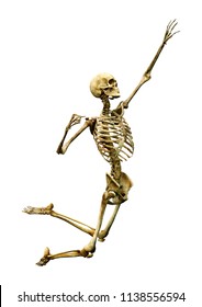 3d Human Skeleton Reaching Through Hands Stock Illustration 1198803670 ...