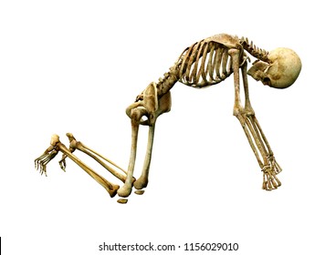 739 imagens de Crawling skeleton Imagens, fotos stock e vetores ...