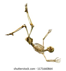 684 Falling skeleton Images, Stock Photos & Vectors | Shutterstock