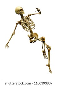 3d Human Skeleton Reaching Through Hands 스톡 일러스트 1198803667 | Shutterstock