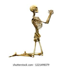 Skeleton Kneeling Images, Stock Photos & Vectors | Shutterstock Skeleton Kneeling Images, Stock Photos & Vectors | Shutterstock