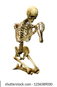 1,037 Praying skeleton Images, Stock Photos & Vectors | Shutterstock