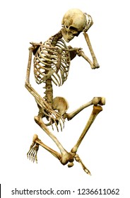 Human Skeleton Isolated On White Background Stock Photo 480948028 ...