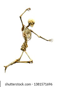 3d Digital Render Human Skeleton Crane 스톡 일러스트 228350440 | Shutterstock