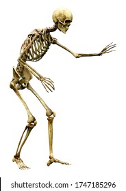 Skeleton Thinking Stock Illustration 108174959 | Shutterstock