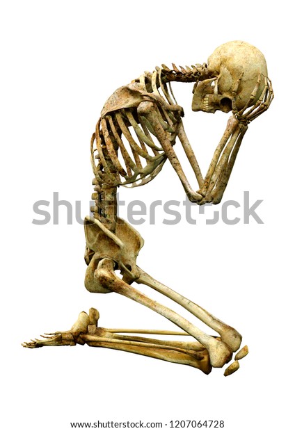 3d Rendering Human Skeleton Isolated On Stock Illustration 1207064728