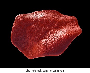 3d Rendering Human Skin Stock Illustration 642885733 | Shutterstock