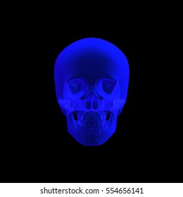 3d Rendering Human Skull Front View Stock Illustration 554656141