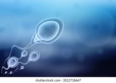 3d Rendering Human Sperm Cell Stock Illustration 2012718647