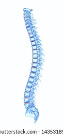 Backbone Rainbow Colored Human Spine Symbol 库存矢量图（免版税）320387489 ...