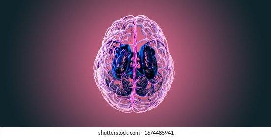 7,062 Inflammation On Brain Images, Stock Photos & Vectors | Shutterstock