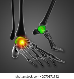 3d Rendering Illustration Talus Bone Front Stock Illustration ...