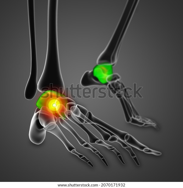 3d Rendering Illustration Talus Bone Front Stock Illustration ...