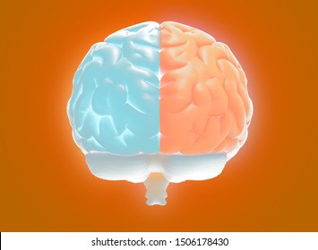 3d Rendering Illustration Translucent Human Brain Stock Illustration ...