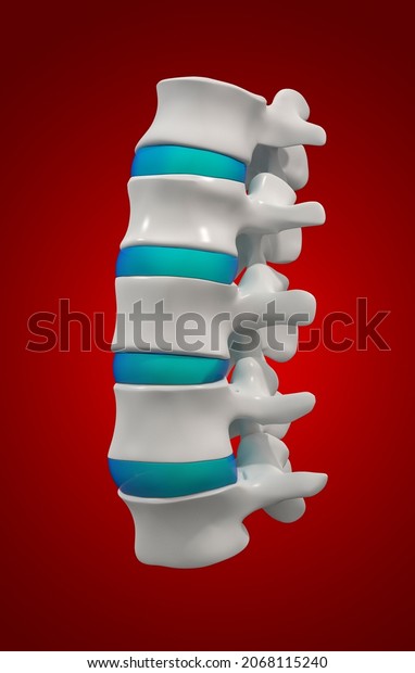 3d Rendering Illustrationlumbar Side View Stock Illustration 2068115240 ...