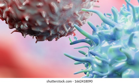 3d Rendering Immune Priming Between Dendritic Stock Illustration ...