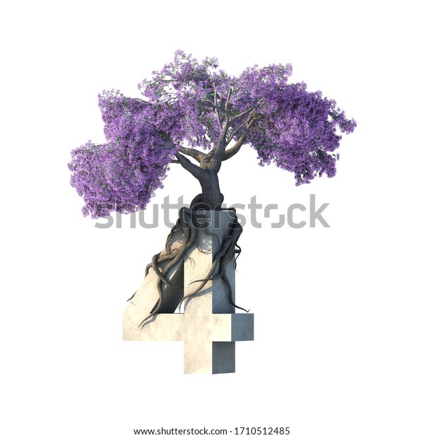 3d Rendering Jacaranda Mimosifolia Tree Growth Stock Illustration ...