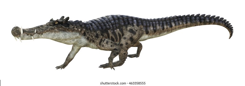 Ilustrasi Stok Illustration Comparison Size Adult Suchomimus Dinosaur ...