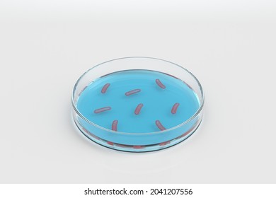 3d Rendering Laboratory Science Dish Stock Illustration 2041207556 ...