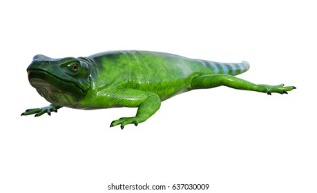 21 Chuckwalla Stock Illustrations, Images & Vectors | Shutterstock