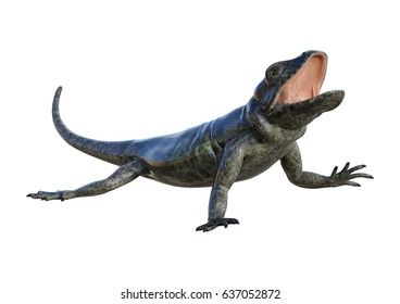 21 Chuckwalla Stock Illustrations, Images & Vectors | Shutterstock