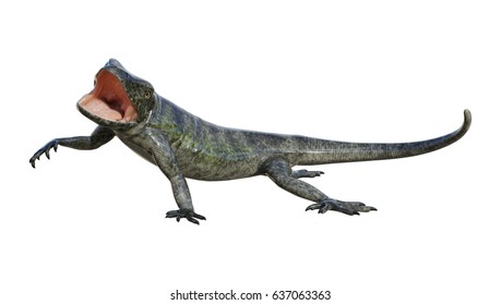 21 Chuckwalla Stock Illustrations, Images & Vectors | Shutterstock