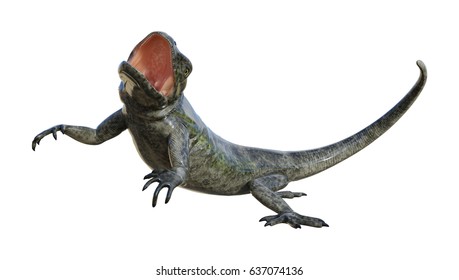 21 Chuckwalla Stock Illustrations, Images & Vectors | Shutterstock
