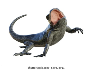 21 Chuckwalla Stock Illustrations, Images & Vectors | Shutterstock