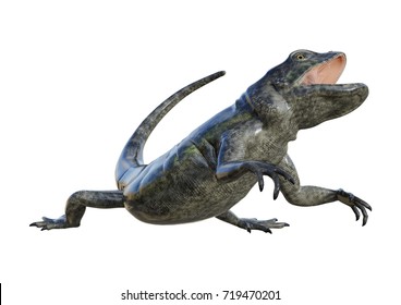 21 Chuckwalla Stock Illustrations, Images & Vectors | Shutterstock
