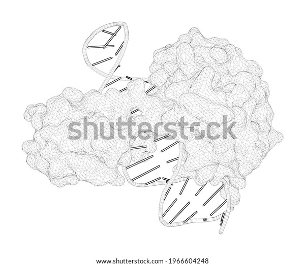 3d Rendering Line Drawing Biological Molecule Stock Illustration ...