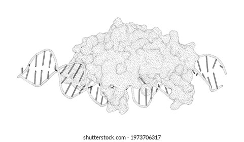 Introns Images, Stock Photos & Vectors | Shutterstock