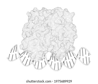 204 Listeria monocytogenes Images, Stock Photos & Vectors | Shutterstock