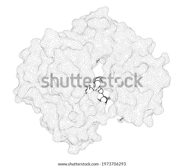 3d Rendering Line Drawing Molecule Structural Stock Illustration ...
