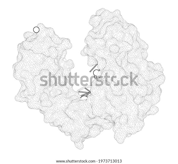 3d Rendering Line Drawing Molecule Structural Stock Illustration ...