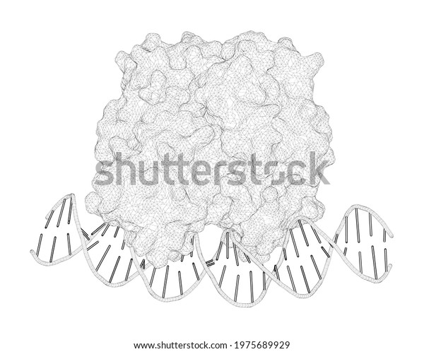 3d Rendering Line Drawing Molecule Structural Stock Illustration ...