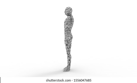 3d Rendering Man Human Body Build Stock Illustration 1556047685 ...