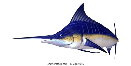Striped Marlin Illustration Vector Eps Format: vector de stock (libre ...