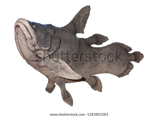 3d Rendering Mawsonia Extinct Genus Prehistoric Stock Illustration ...
