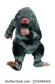 9,541 Mole White Background Images, Stock Photos & Vectors | Shutterstock