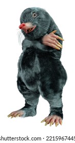 9,541 Mole White Background Images, Stock Photos & Vectors | Shutterstock