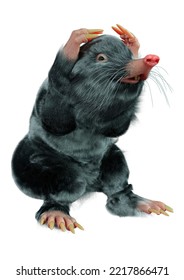 9,541 Mole White Background Images, Stock Photos & Vectors | Shutterstock