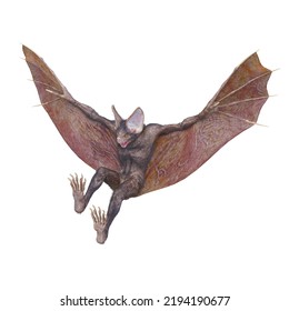 3d Rendering Monster Bat Stock Illustration 2194190677 | Shutterstock