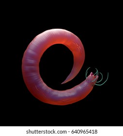 3d Rendering Nematode Worm Stock Illustration 640965418