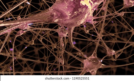 3d Rendering Network Neuron Cells Synapses Stock Illustration 1190525551 | Shutterstock