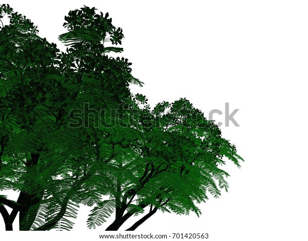 3d Rendering Outlined Black Tree Green Stock Illustration 701420563 ...