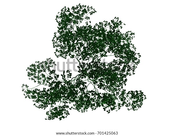 3d Rendering Outlined Black Tree Green Stock Illustration 701425063 ...