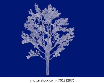 3d Rendering Outlined Tree Blueprint Isolated Stock Illustration ...